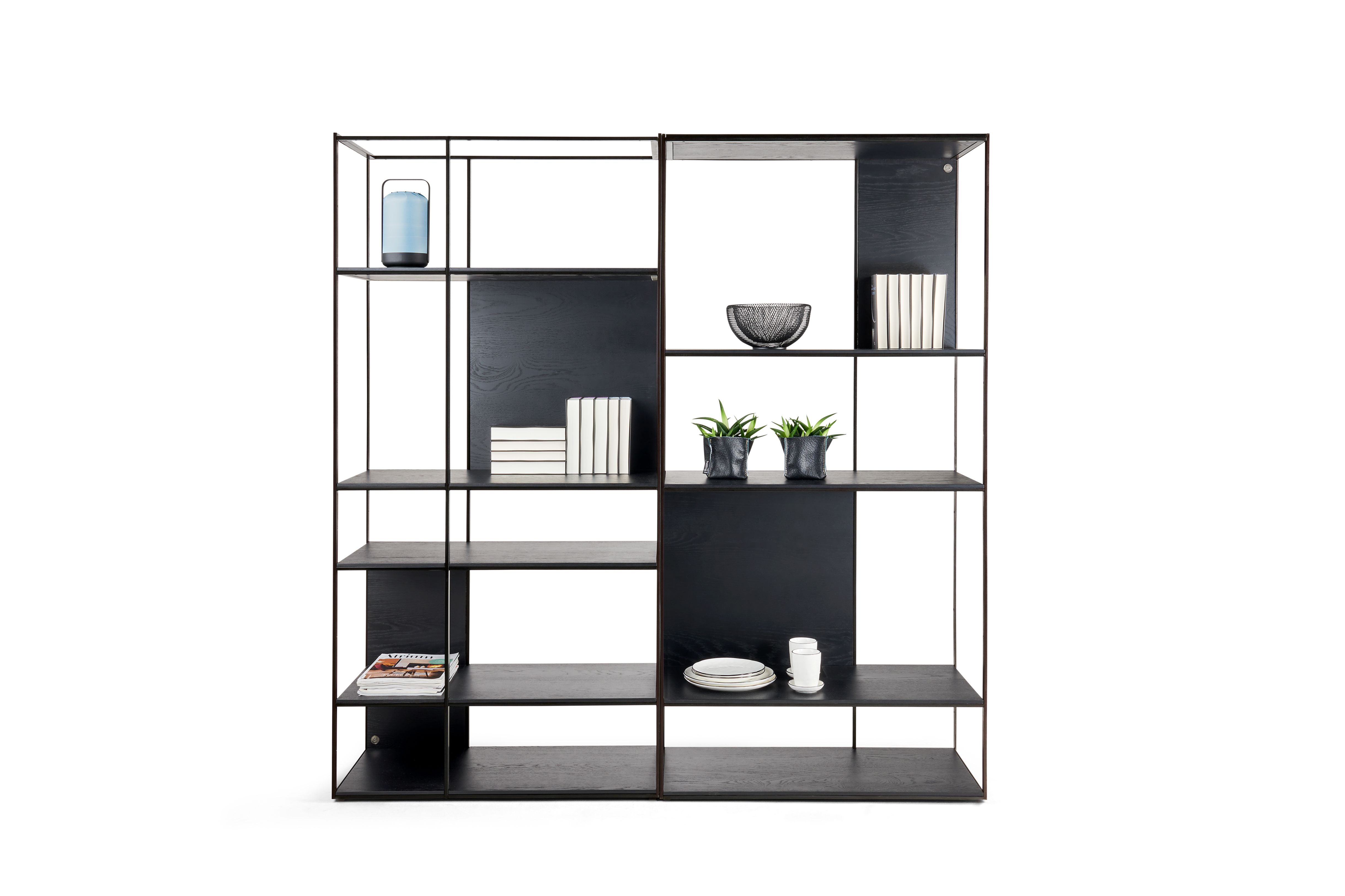 Bullfrog Design - SOLID